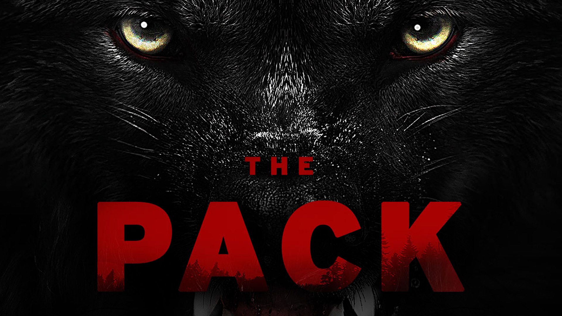 The Pack (2015): Wild Dogs Down Under (Review) - Mikes Film Talk